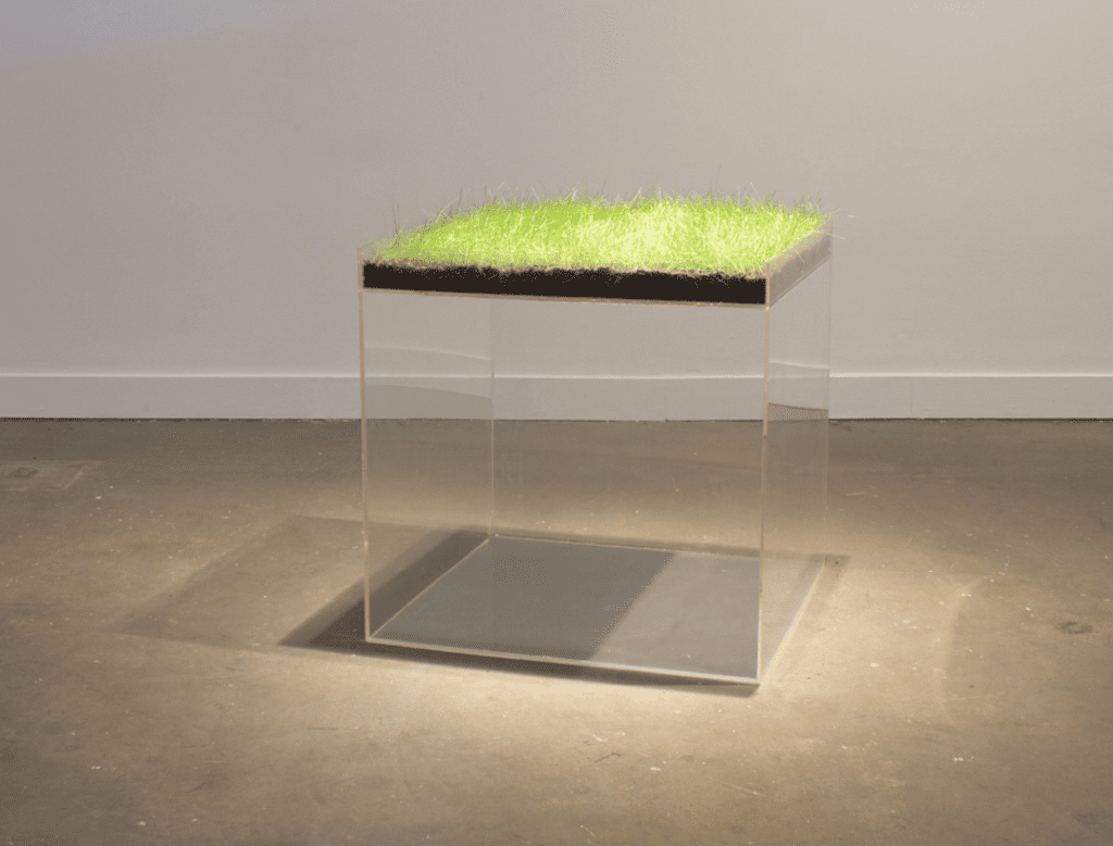 Famous Examples Of Conceptual Art