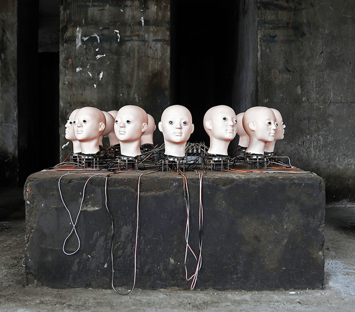Di Tian: Biography & Artworks — CAI Features