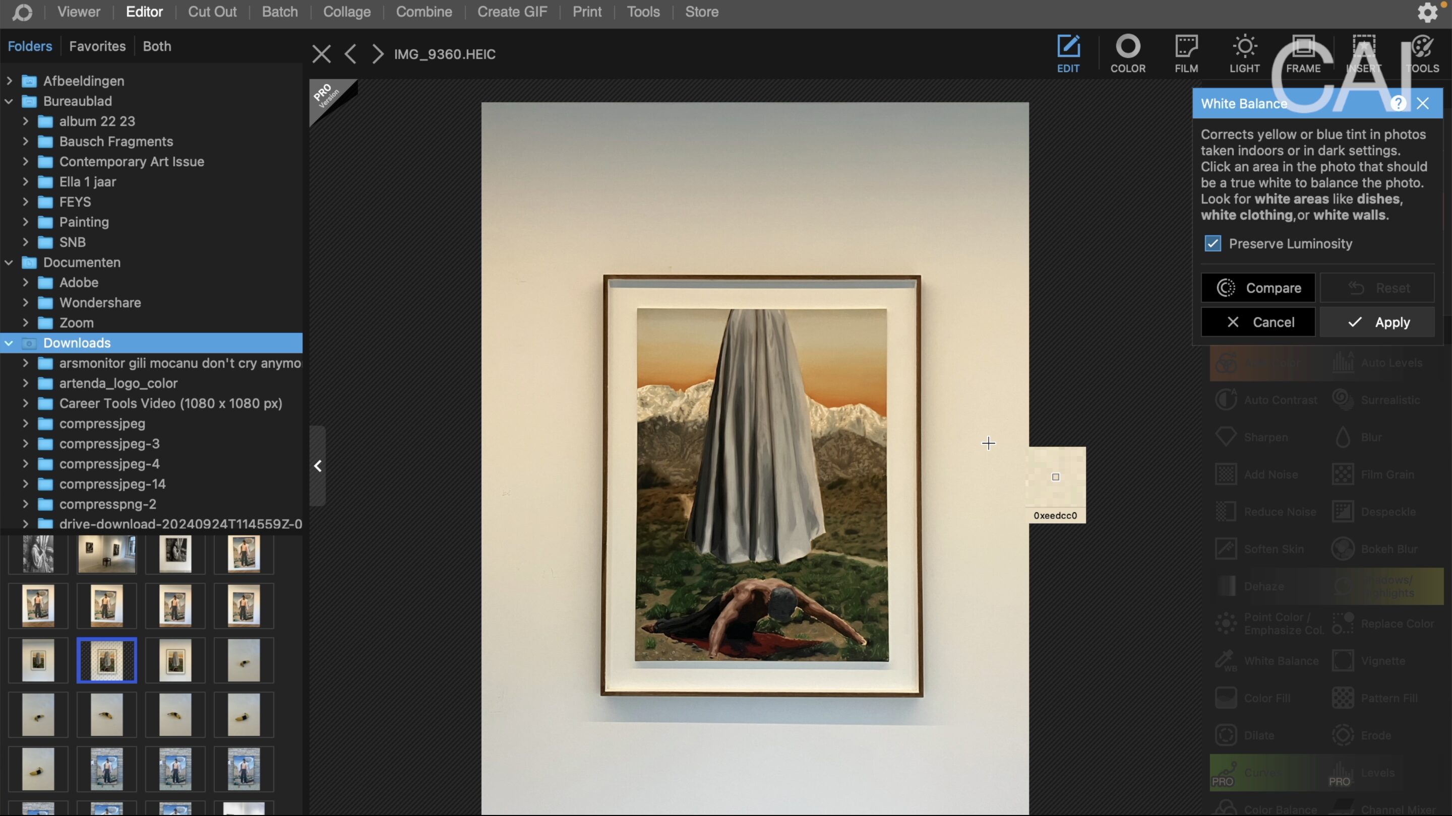 How To Photograph Your Art Professionally in 5 Steps — CAI