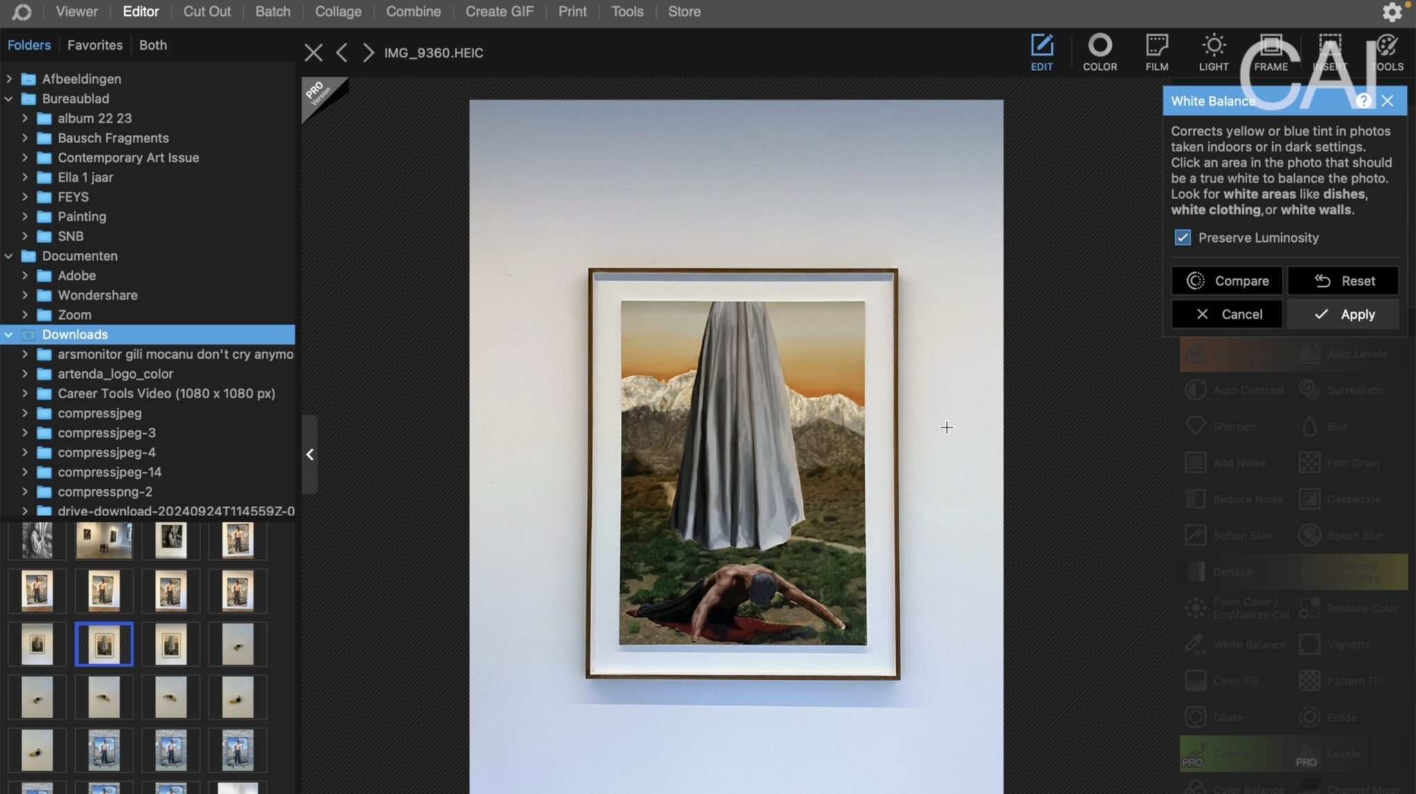 How To Photograph Your Art Professionally in 5 Steps — CAI