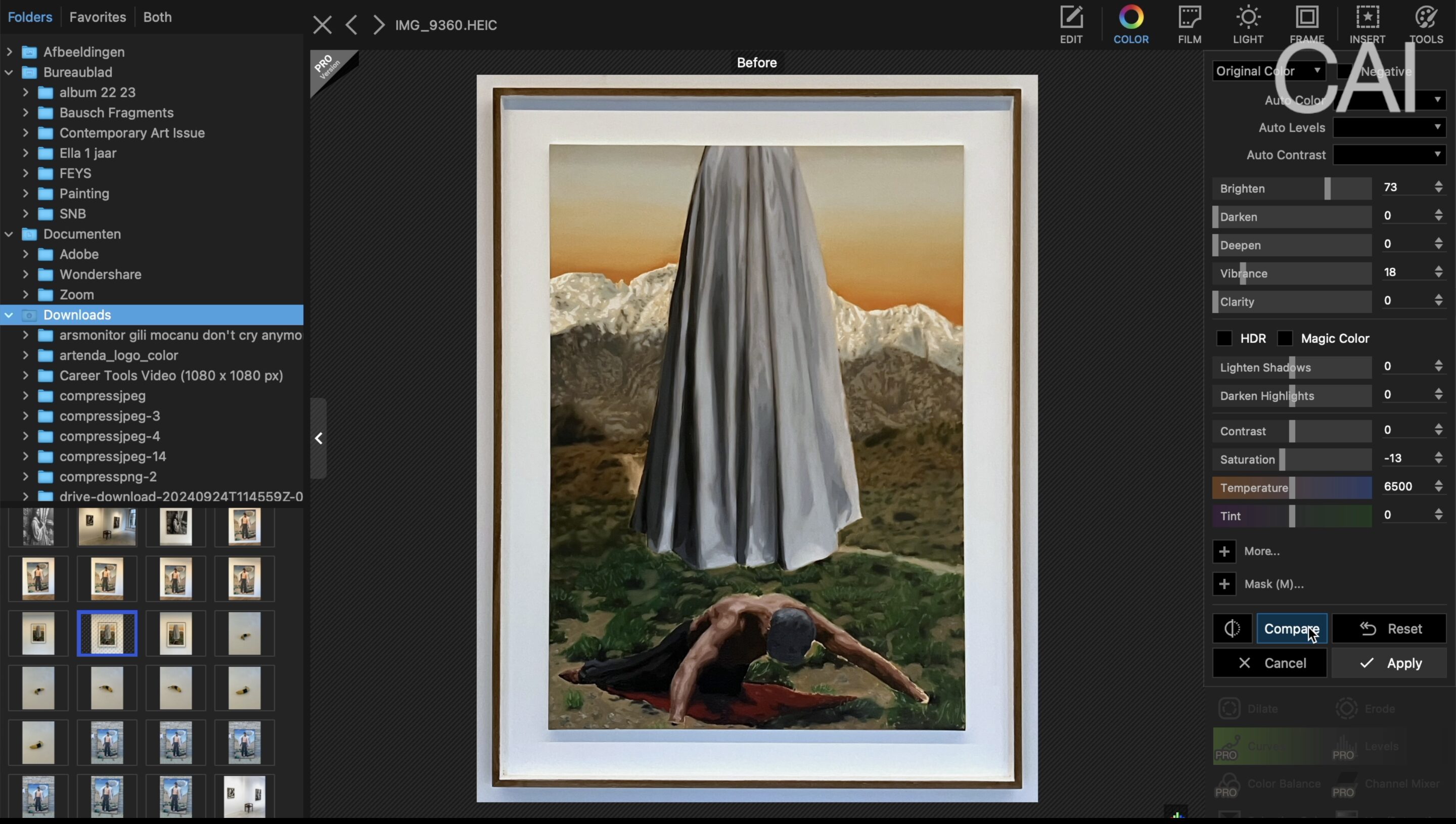 How To Photograph Your Art Professionally in 5 Steps — CAI