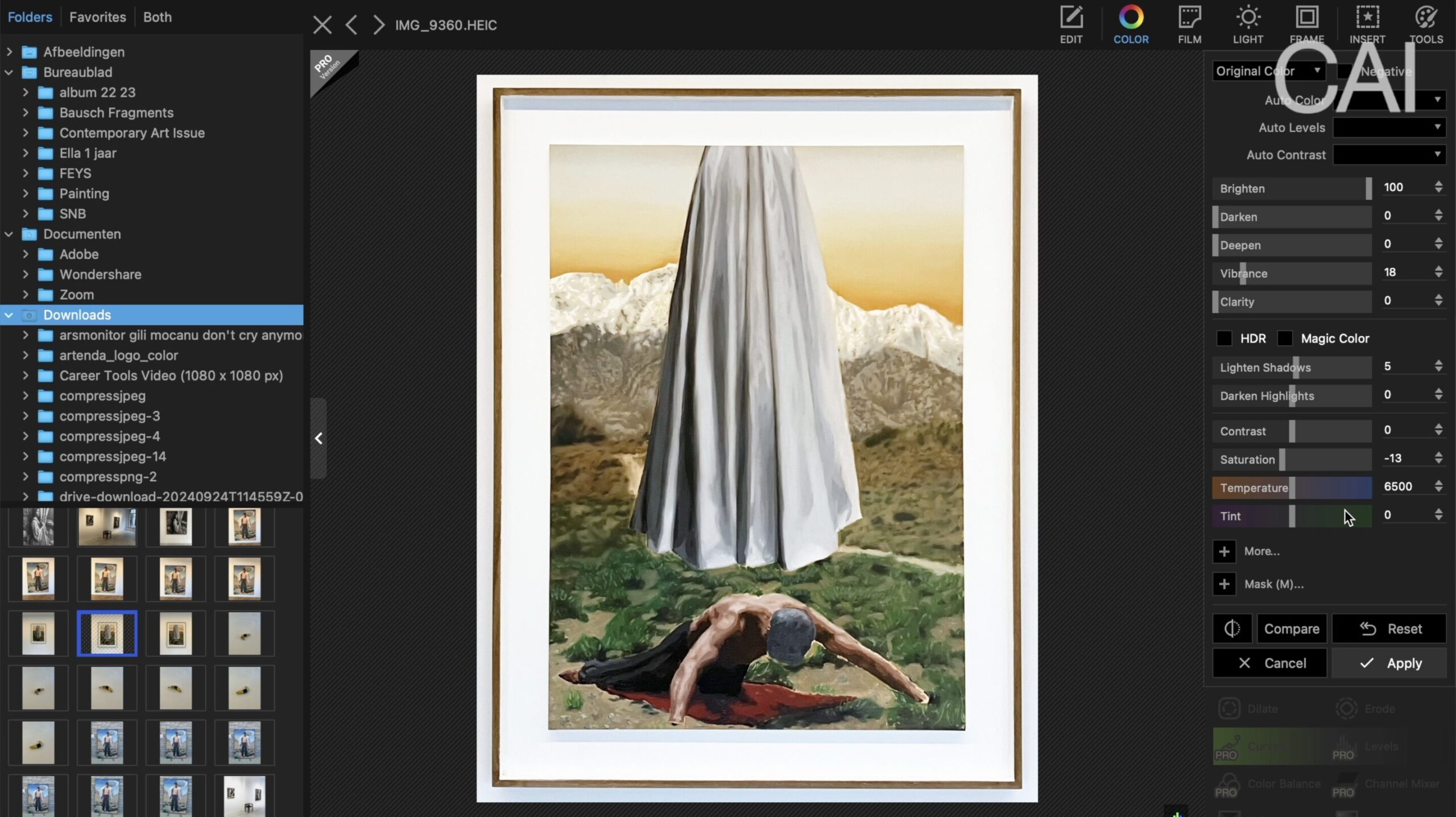 How To Photograph Your Art Professionally in 5 Steps — CAI